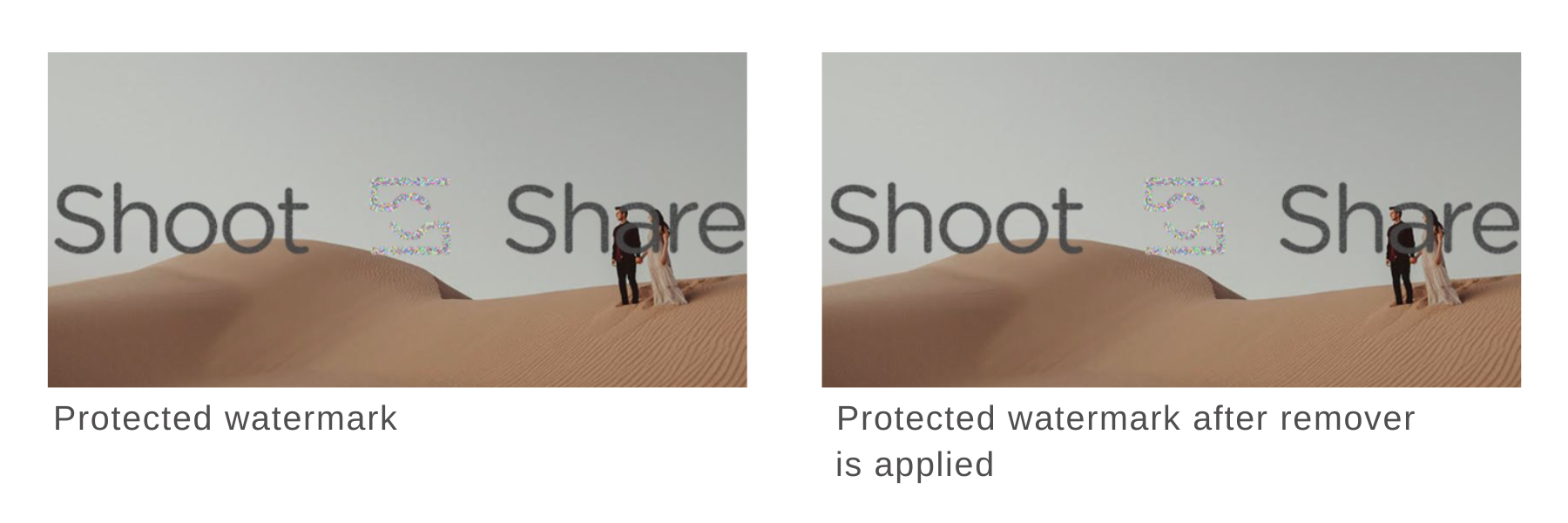 Homepage [www.passgallery.com]