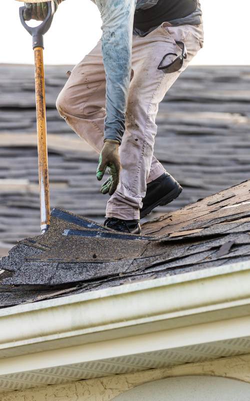 Roof Moss Removal Dublin - Expert Roof Cleaning Services