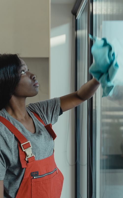 Window Cleaning Terenure Services: To Revitalise Your View
