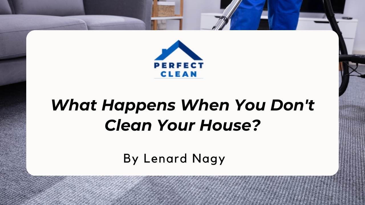 What Happens When You Don't Clean Your House? Find Out Now!