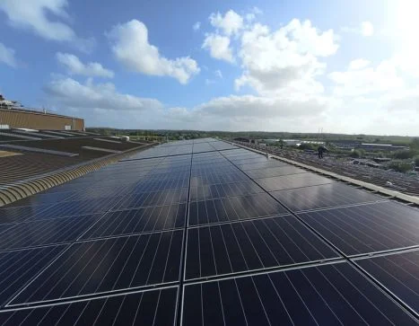 TAMS 3 Grant - Secure 60% Off on Solar PV Installations