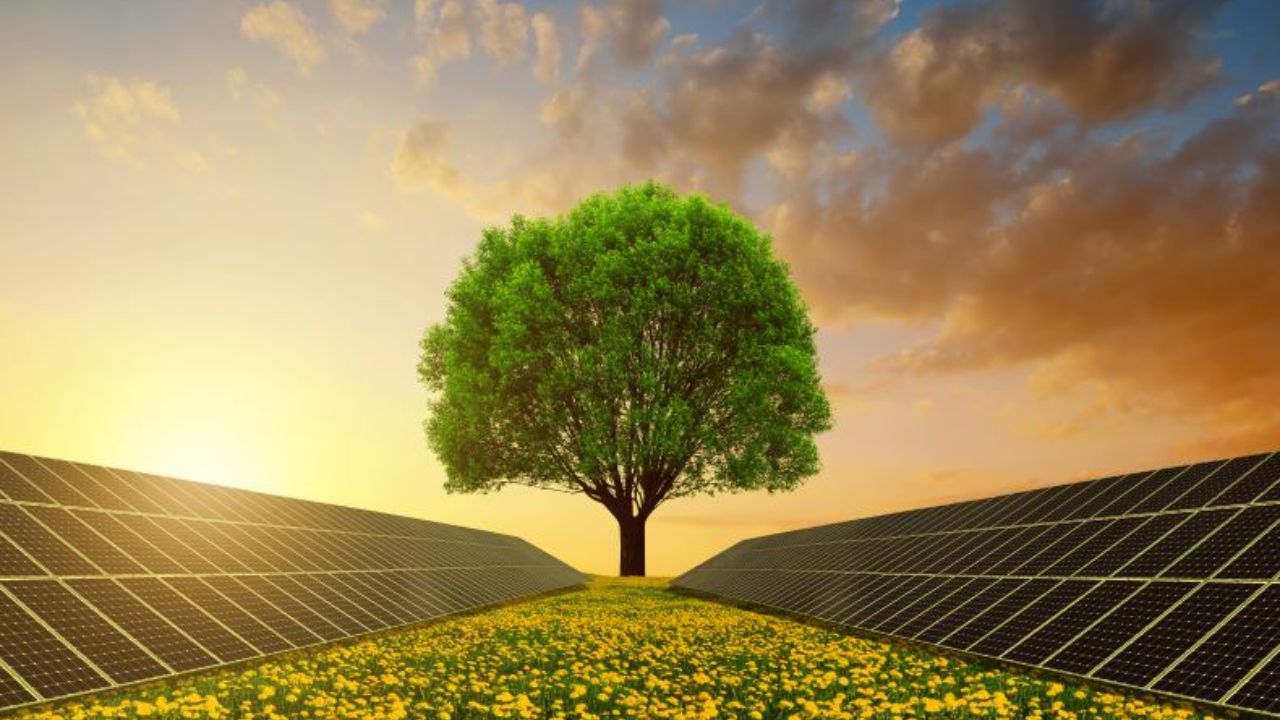 What Environmental Benefits Solar Panels Bring to Ireland?