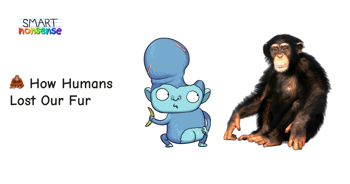 🦧 How Humans Lost Our Fur