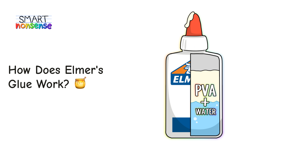 How Does Elmer's Glue Work? 🍯