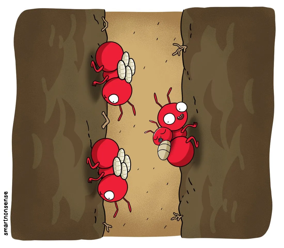 What’s Inside an Anthill? 🐜