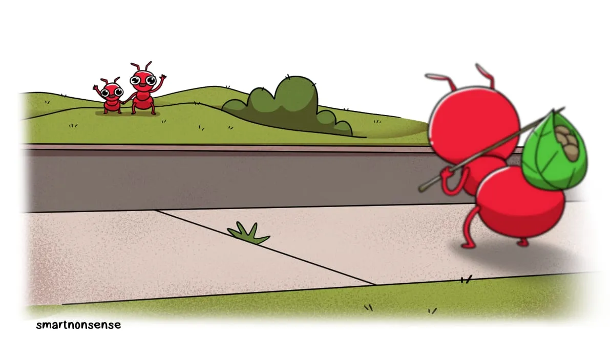 What’s Inside an Anthill? 🐜