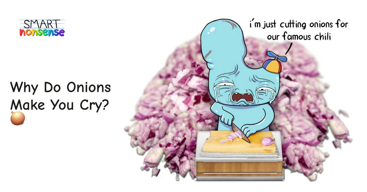 Why Do Onions Make You Cry? 🧅