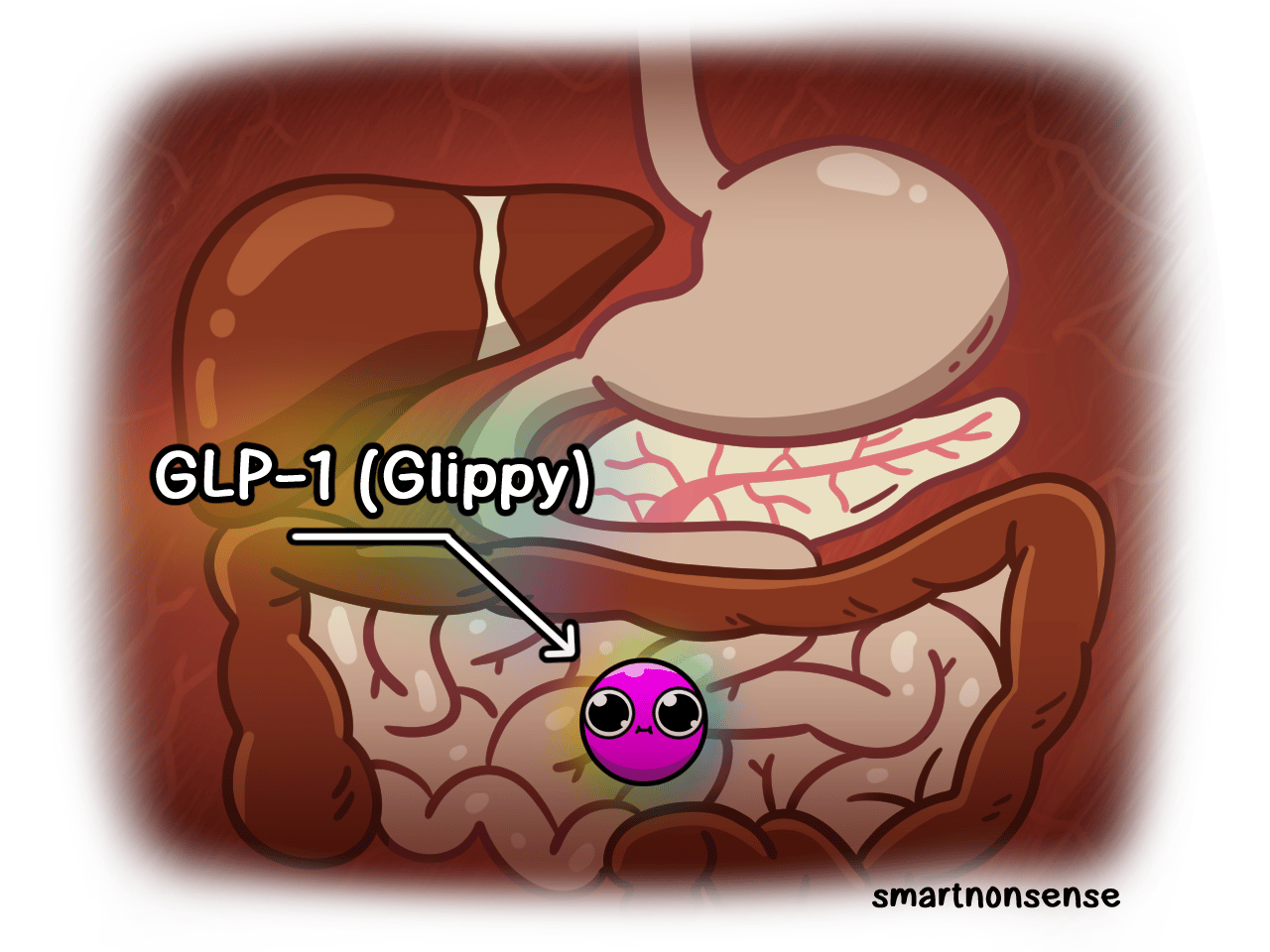 How Does Ozempic Work? 💉