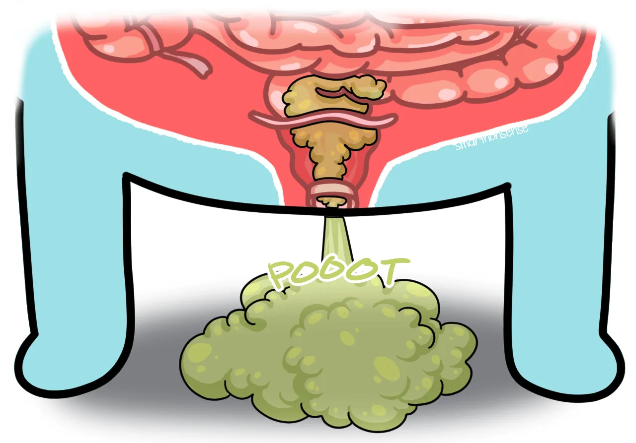 Why Do Beans Make You Fart? 🫘