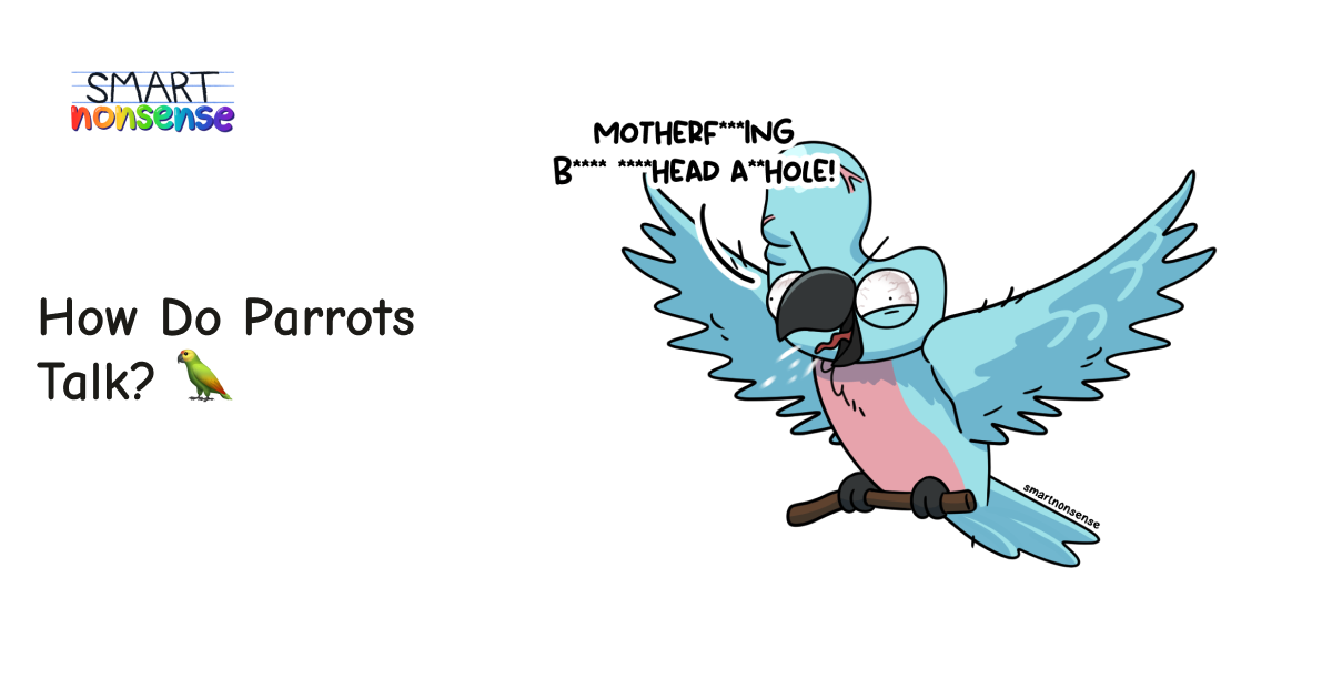 How Do Parrots Talk? 🦜