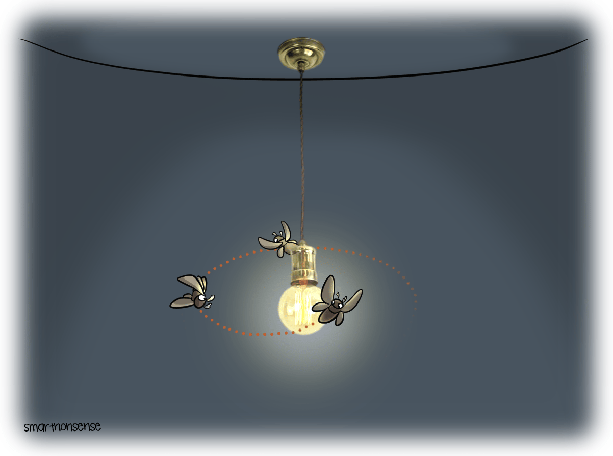 Why Are Insects Drawn to Artificial Lights?🪰