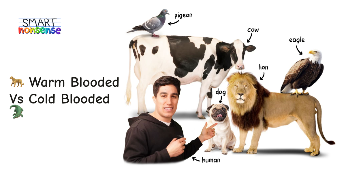 🐆 Warm Blooded Vs Cold Blooded 🐊