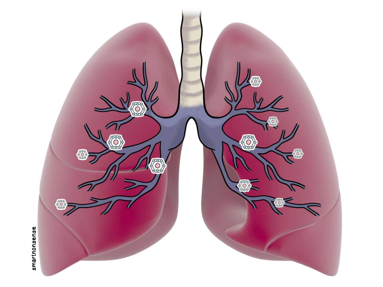 How Do Fish Breathe? 🐟