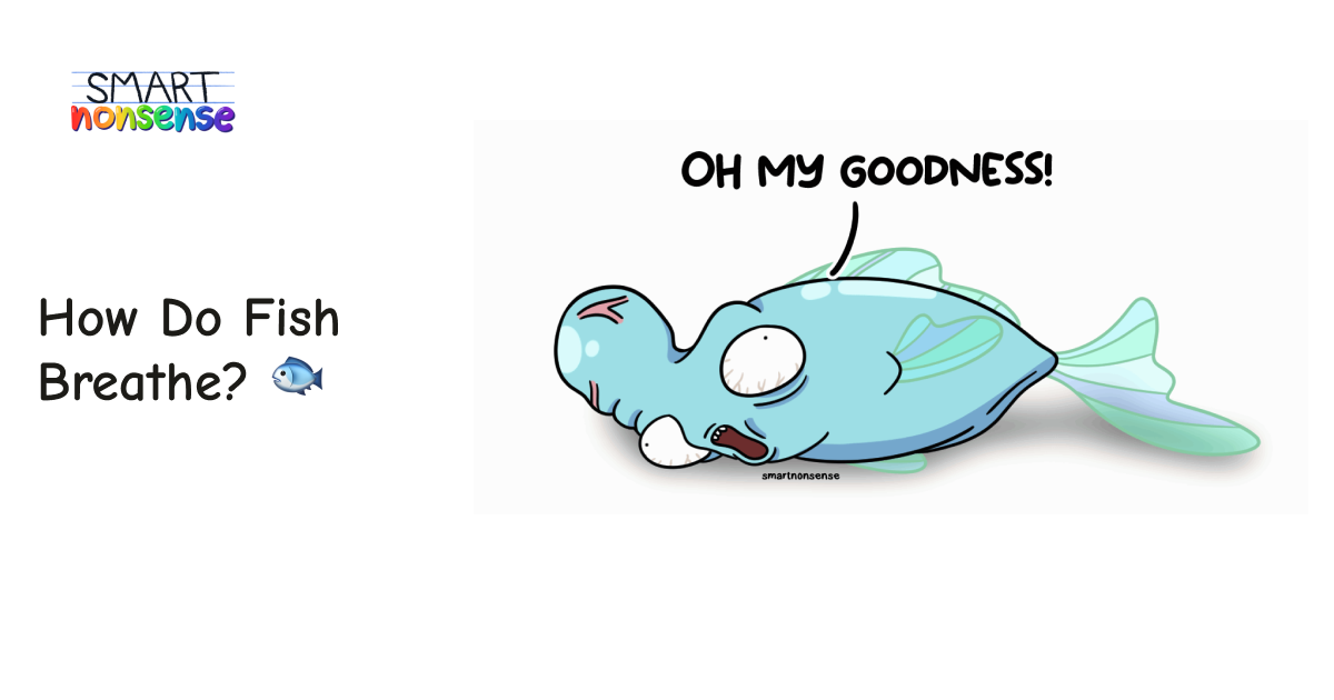 How Do Fish Breathe? 🐟