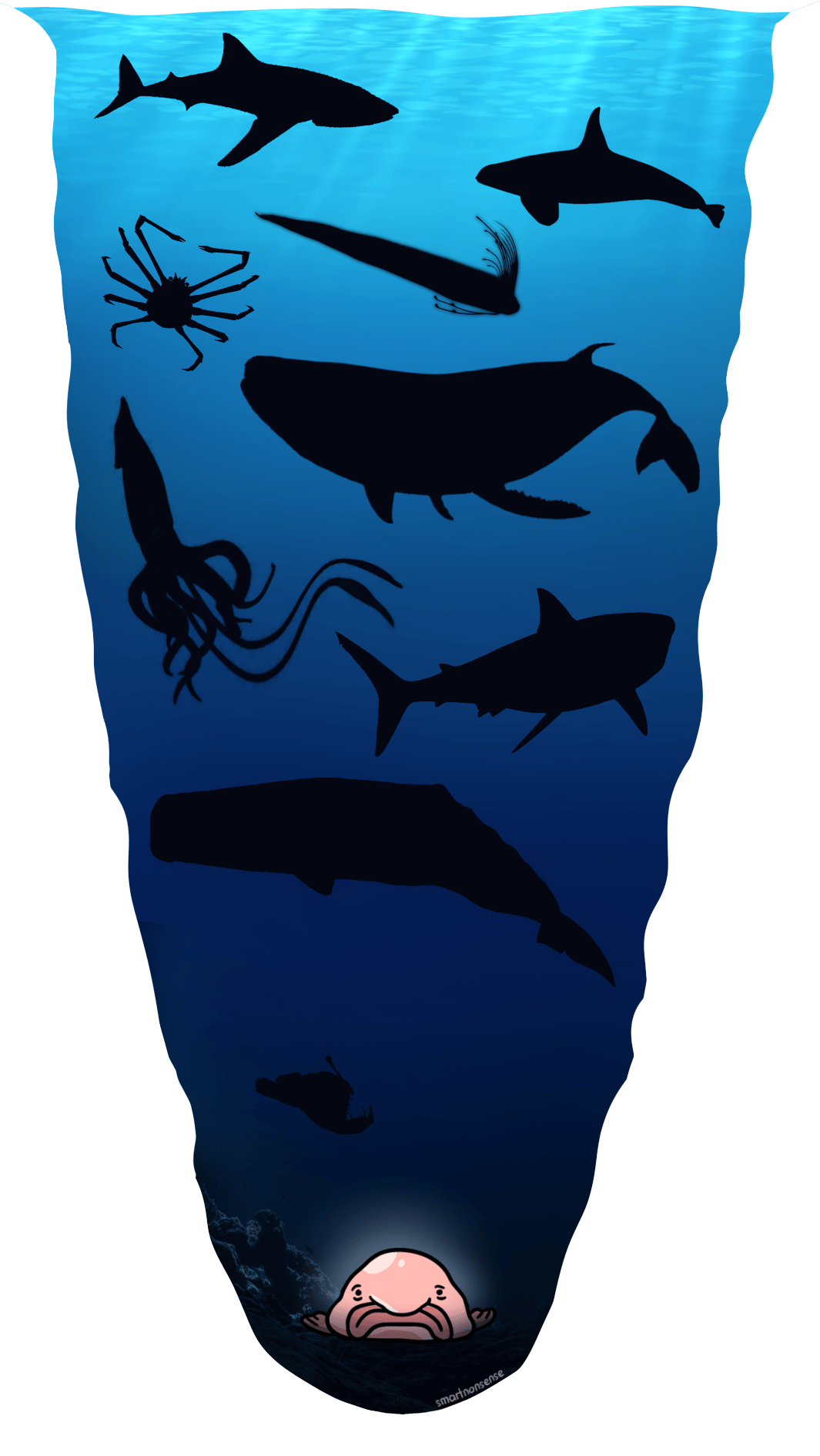 The Blobfish – World's Ugliest Animal 🐡