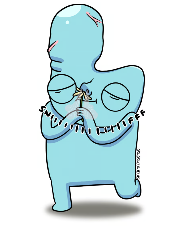 Posts | Smart Nonsense