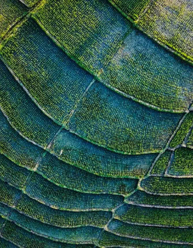 Who We Are | Planet First Partners