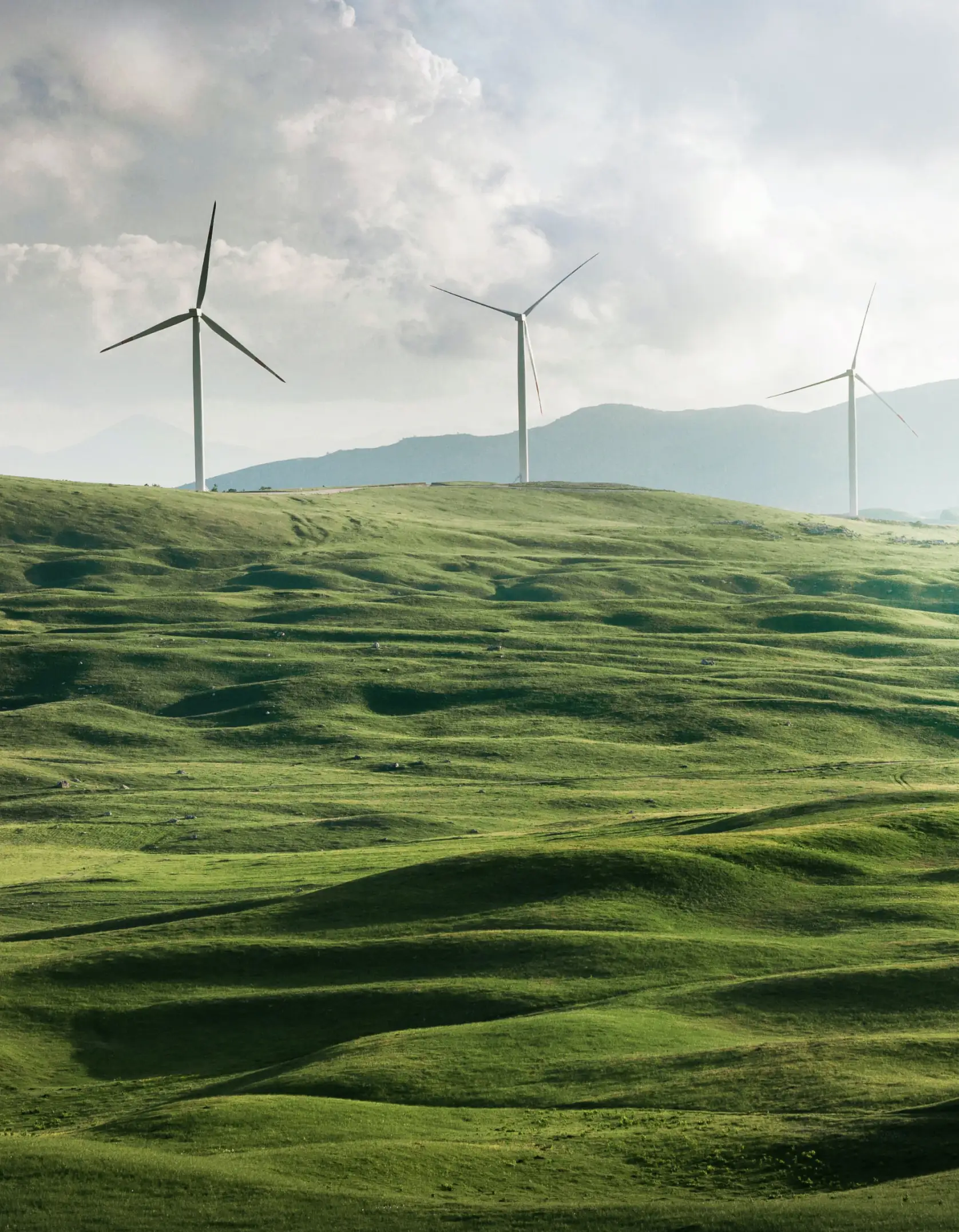 Who We Are | Planet First Partners