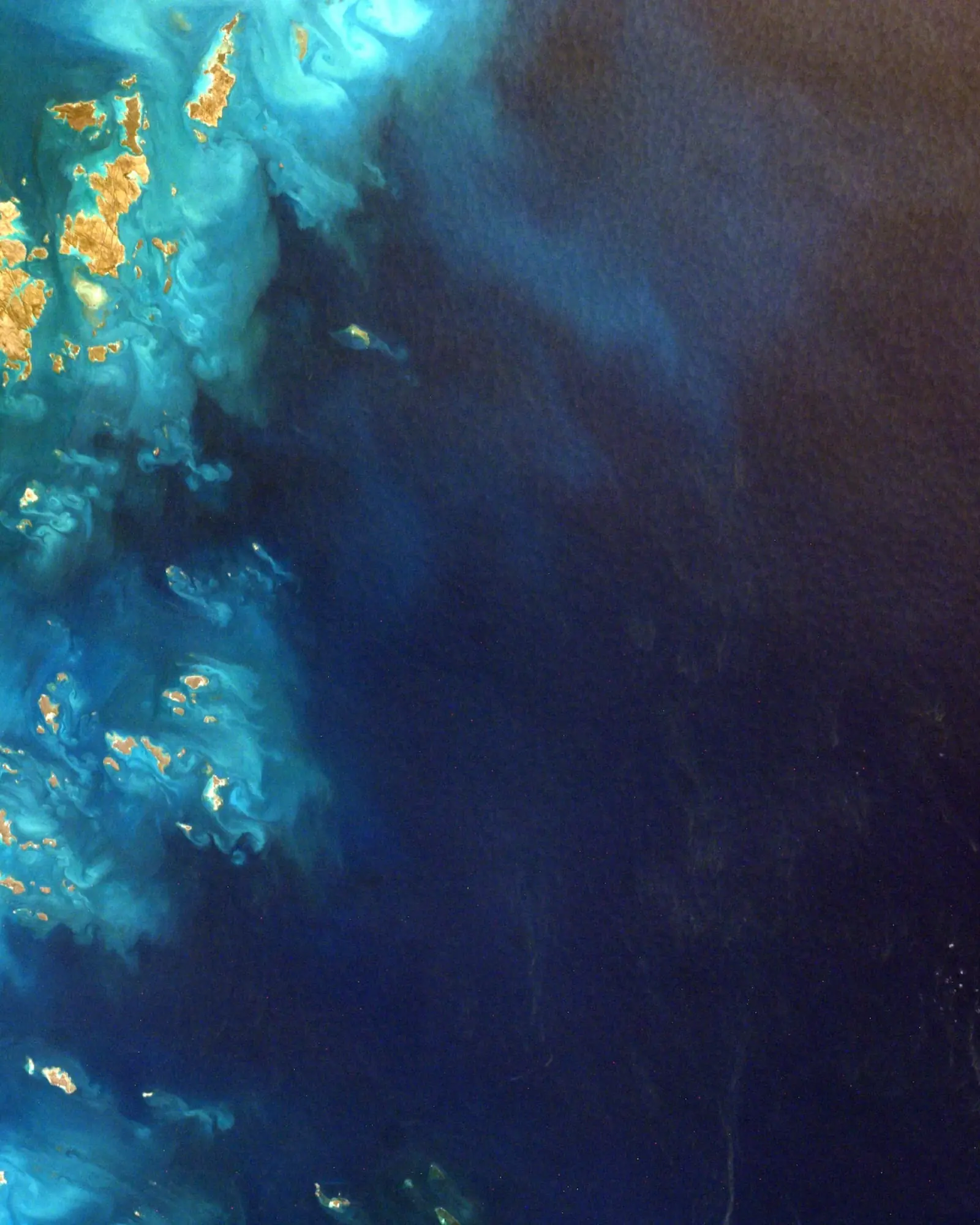 Empowering entrepreneurs to build a sustainable future | Planet First ...