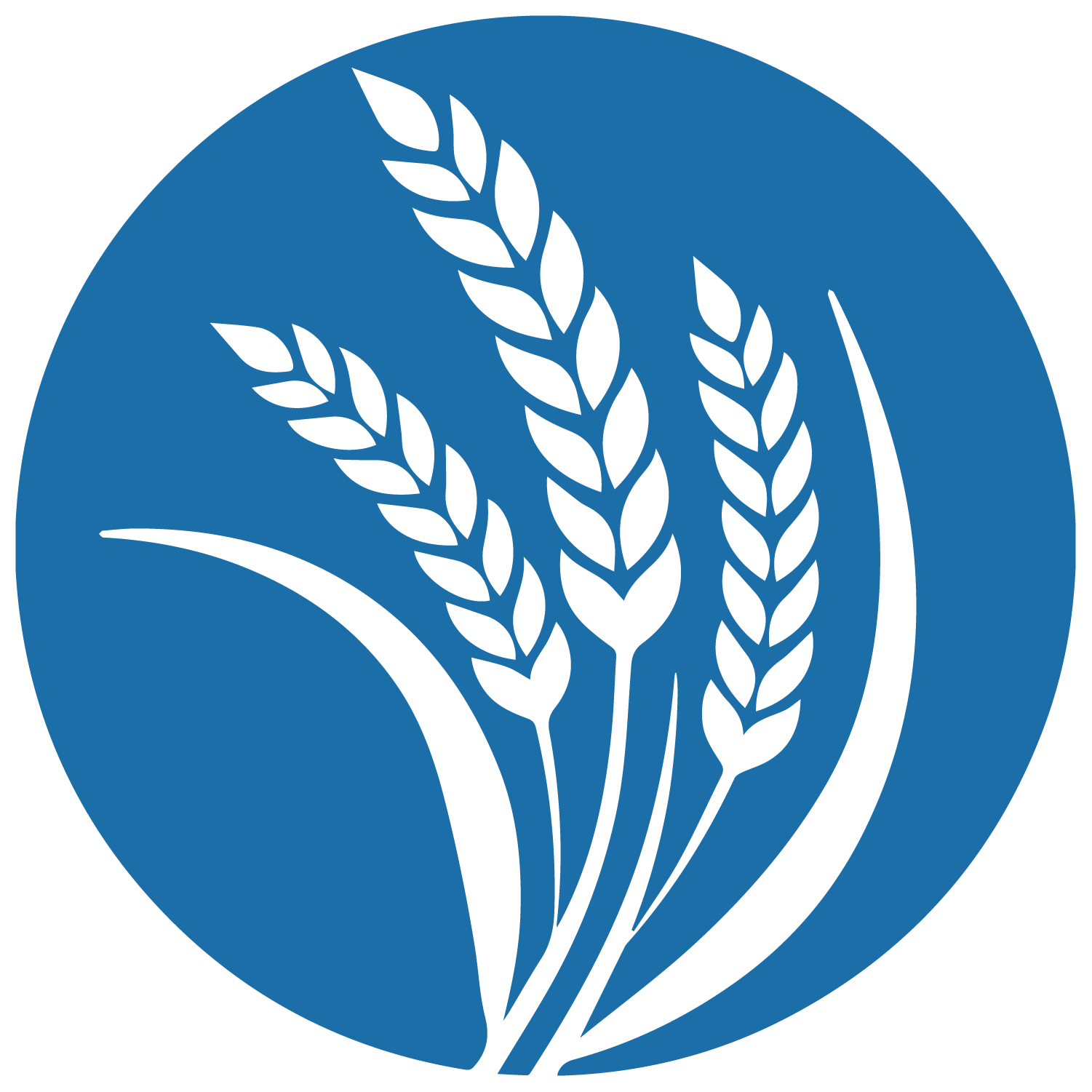 Required Minimum Distributions (RMDs): A Tax-Wise Approach for IRA ...