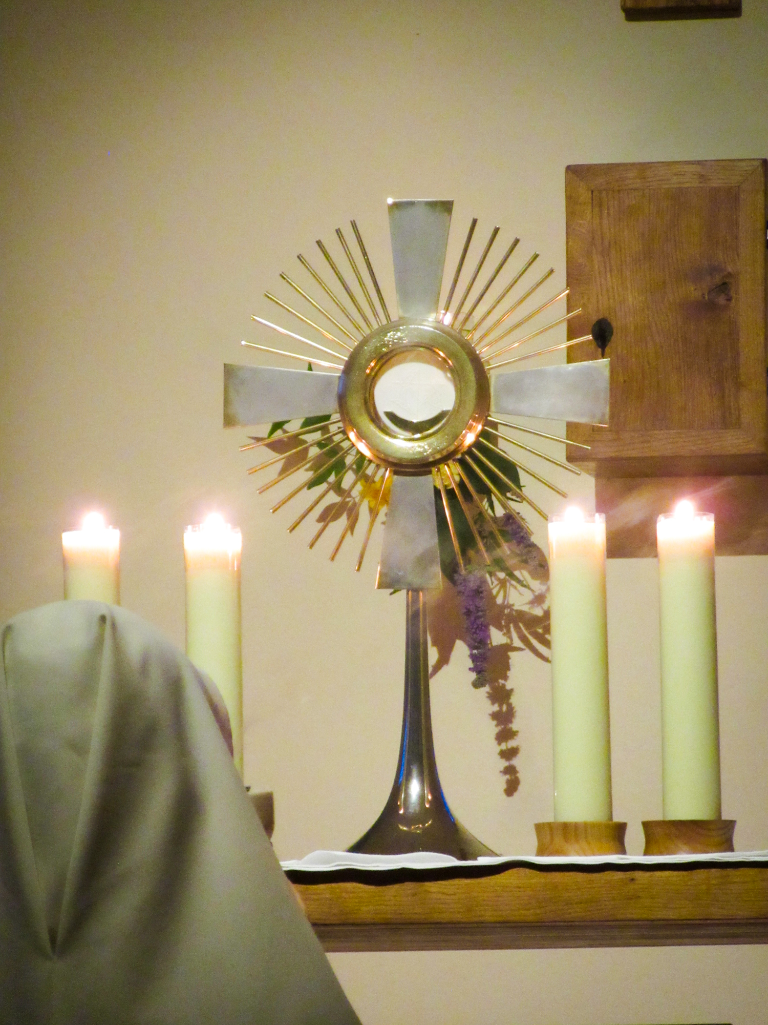 Quiénes somos - Maria Stella Matutina