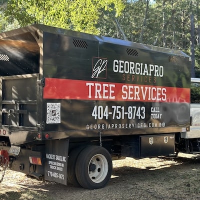 Georgia Pro Tree Services | Expert Tree Professionals