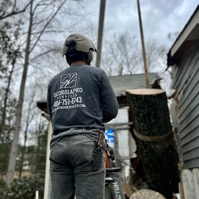 Georgia Pro Tree Services | Expert Tree Professionals
