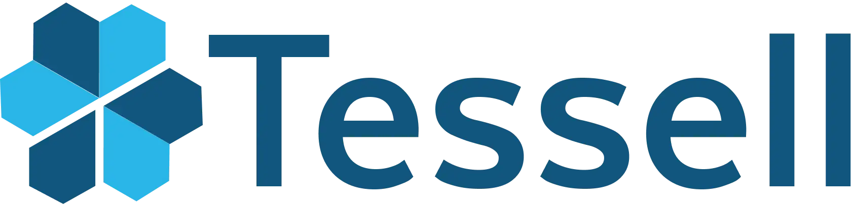 Bringing the Art and Science of Tessellation to Data | Tessell