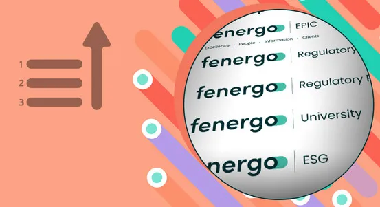 The Fenergo Brand