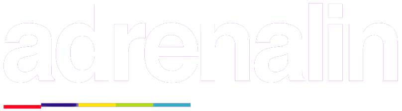 Adrenalin eSystems Ltd | Company