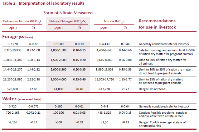 Nitrate Poisoning of Livestock, Drought Stressed Forages | Redd Summit ...