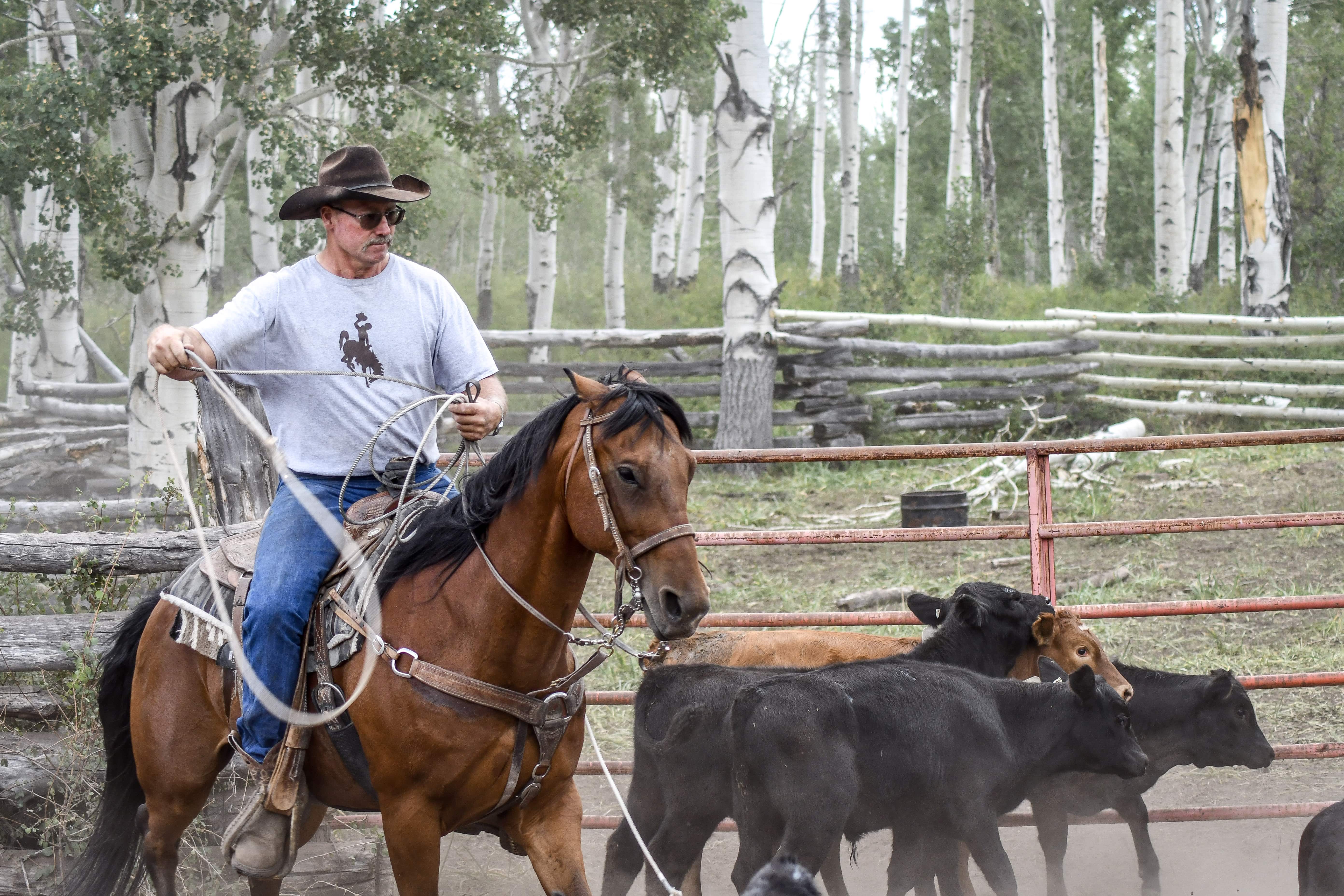5 Components of a Sustainable Ranch Operation | Redd Summit Advisors