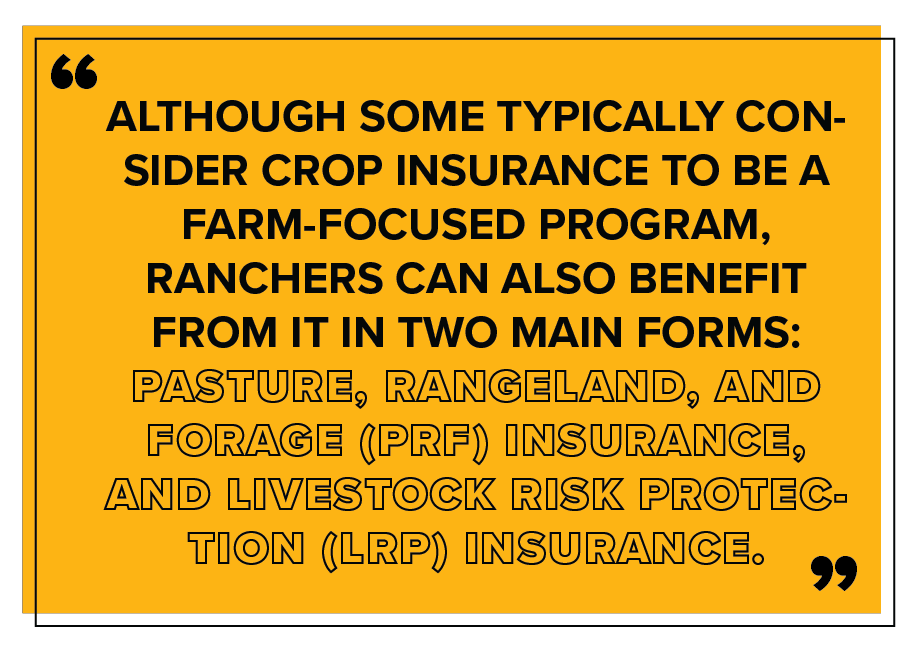 Farm Bill 2023: How it Affects Ranchers | Redd Summit Advisors