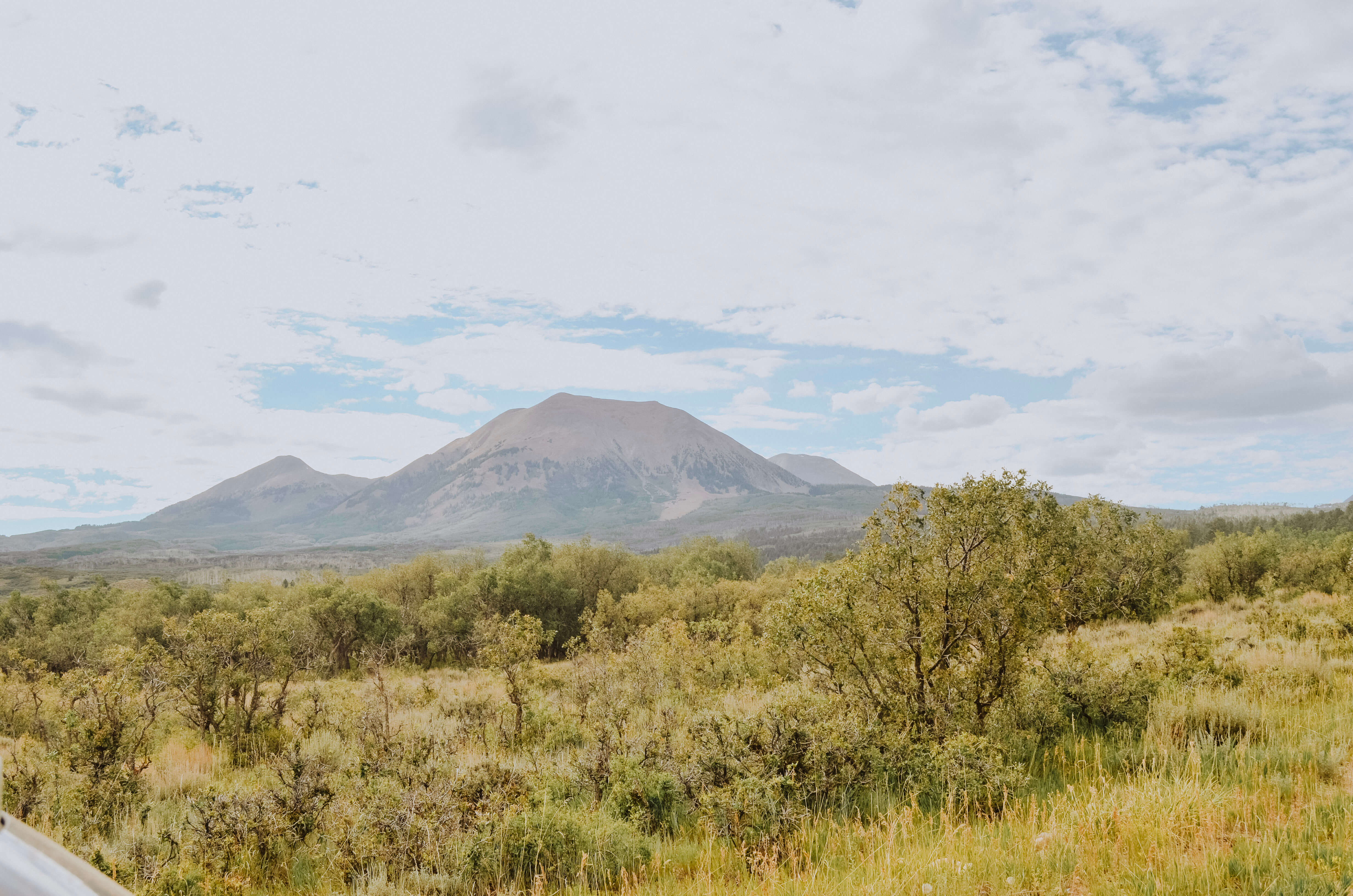 A Beginner’s Guide to Signing Up for PRF Insurance | Redd Summit Advisors