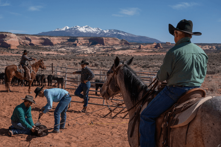 5 Areas of Risk & PRF Insurance | Redd Summit Advisors