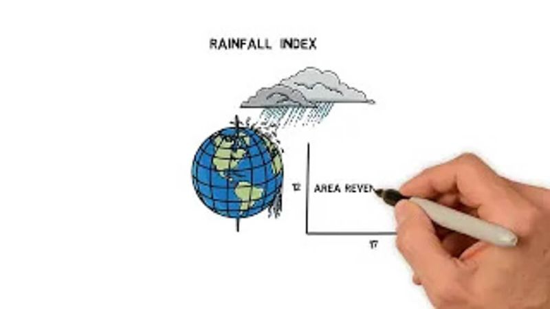 Industry Leader in PRF Insurance | Redd Summit Advisors