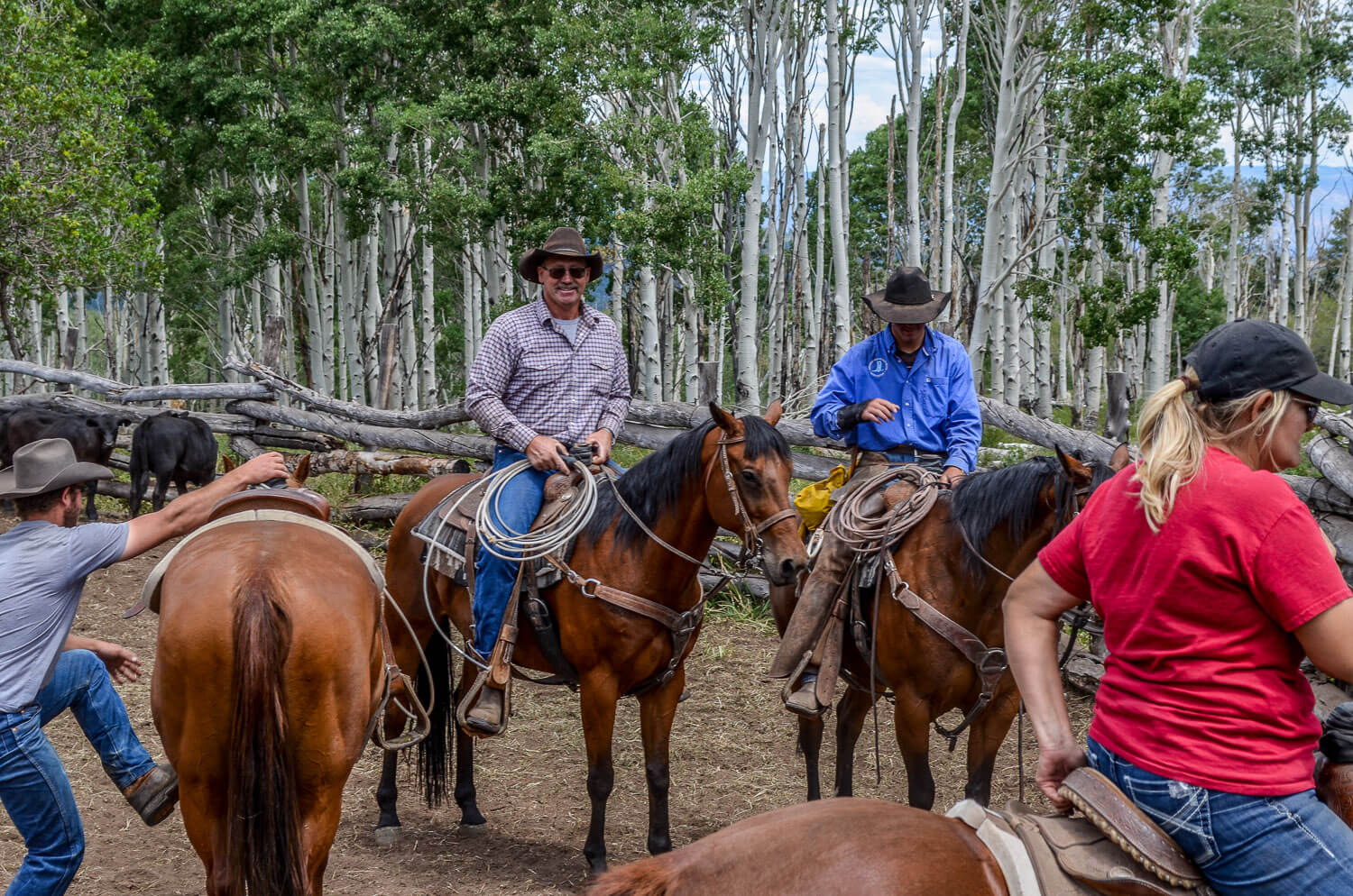How Do You Know When To Hire Staff On Your Ranch? | Redd Summit Advisors