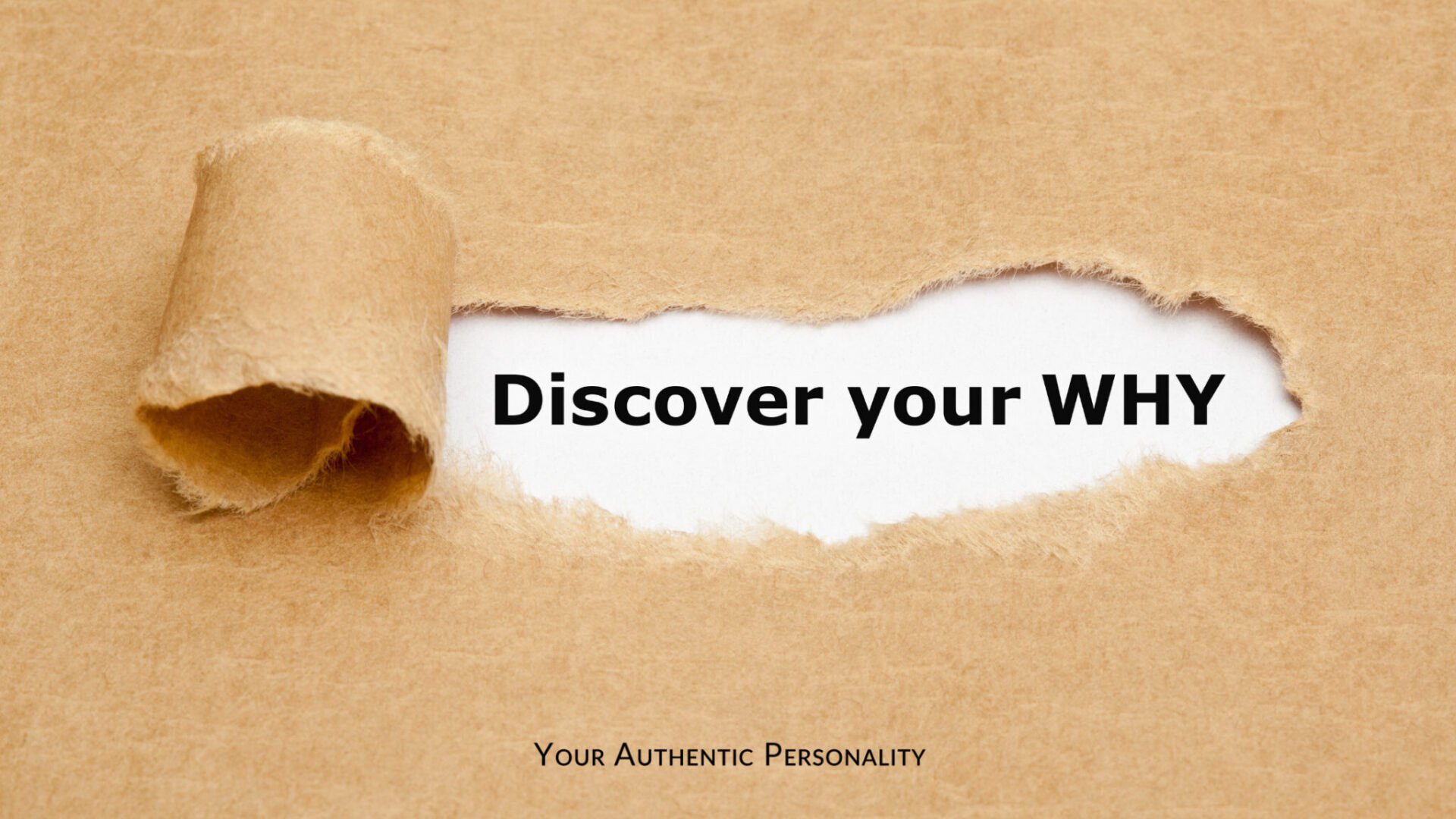 What’s My Why? | Your Authentic Personality