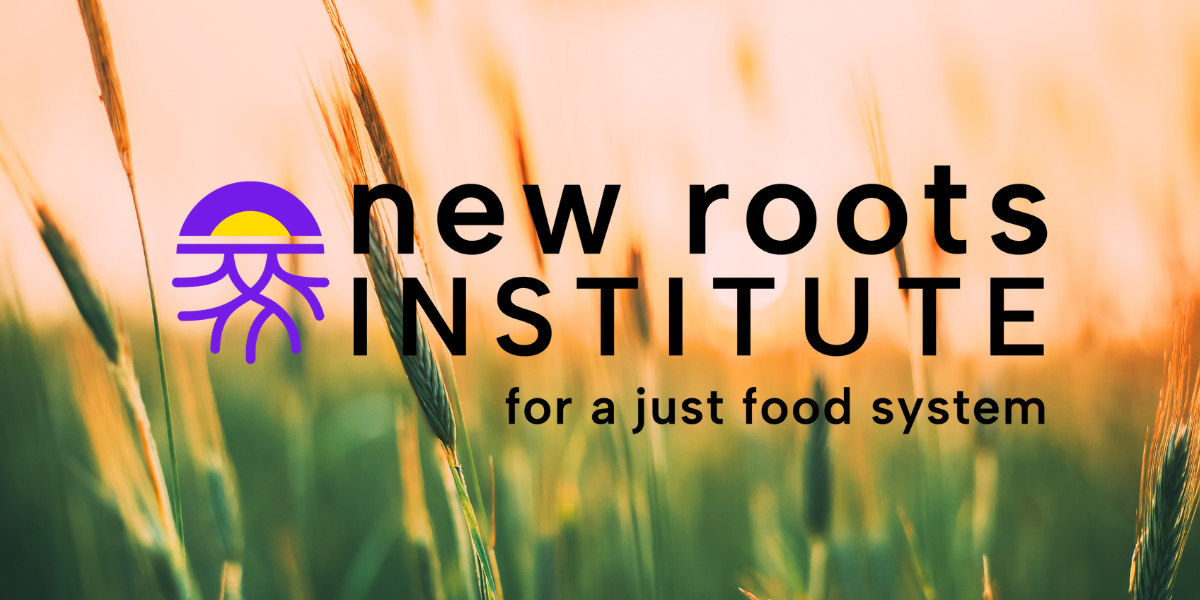 About New Roots | New Roots Institute