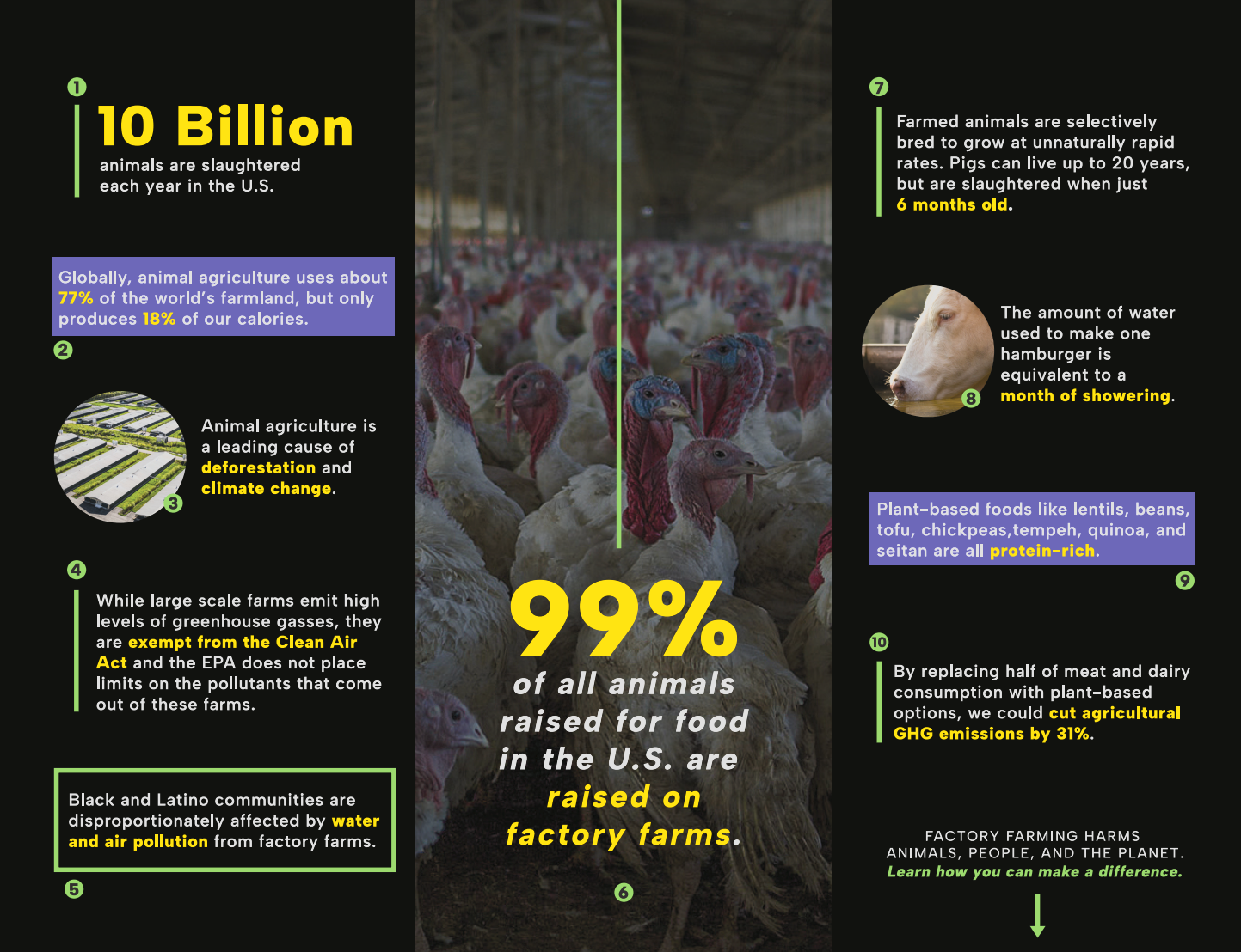 Facts | New Roots Institute