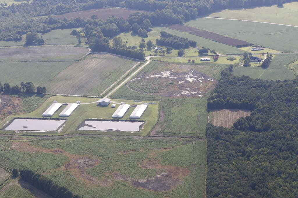 Environmental Law Exemptions in Factory Farming | New Roots Institute