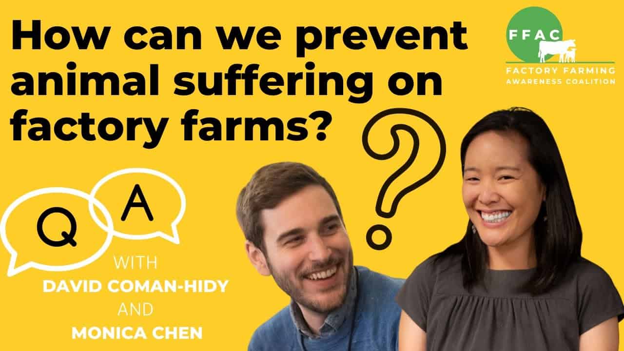 Videos | New Roots Institute