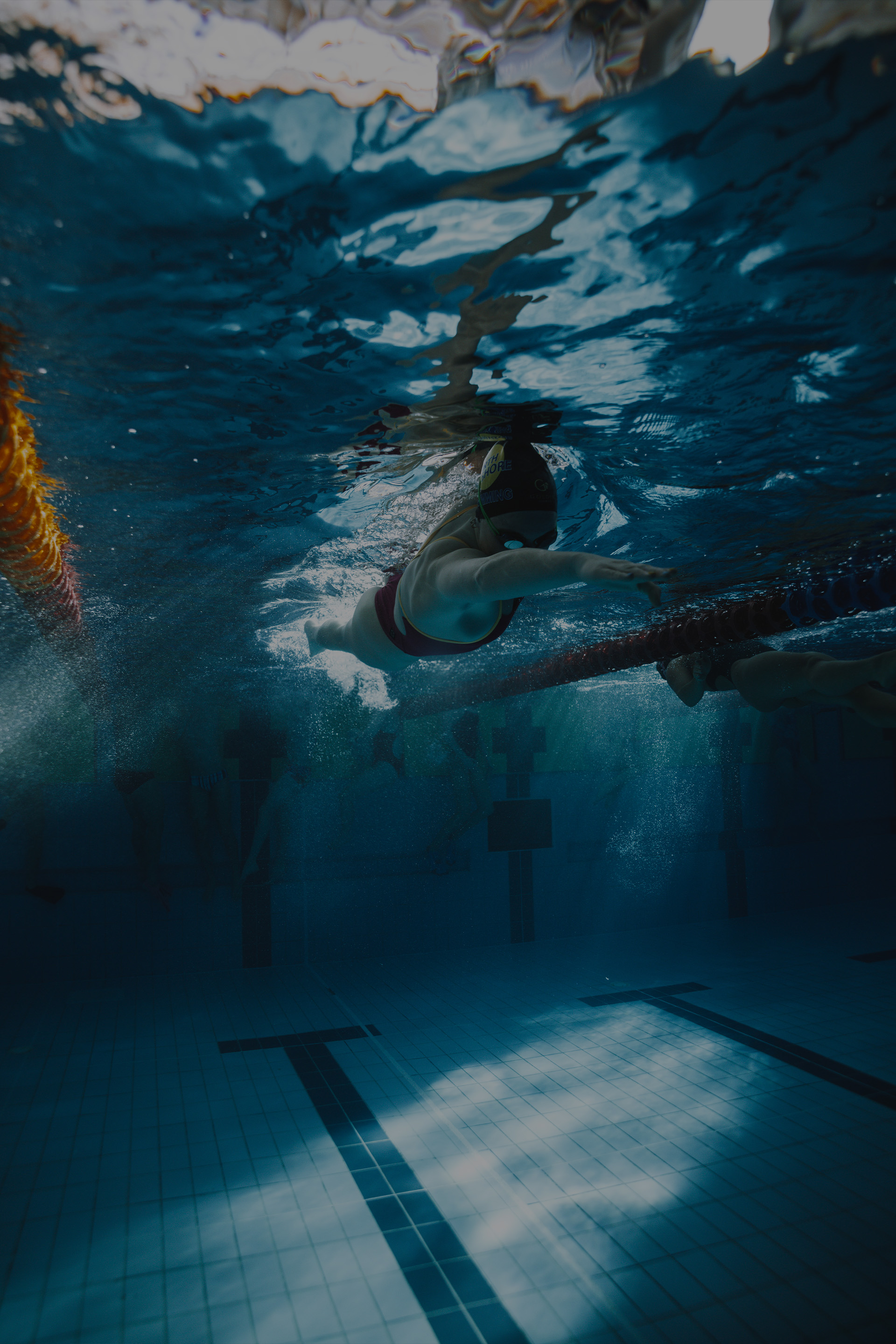 Swimming Auckland - Welcome