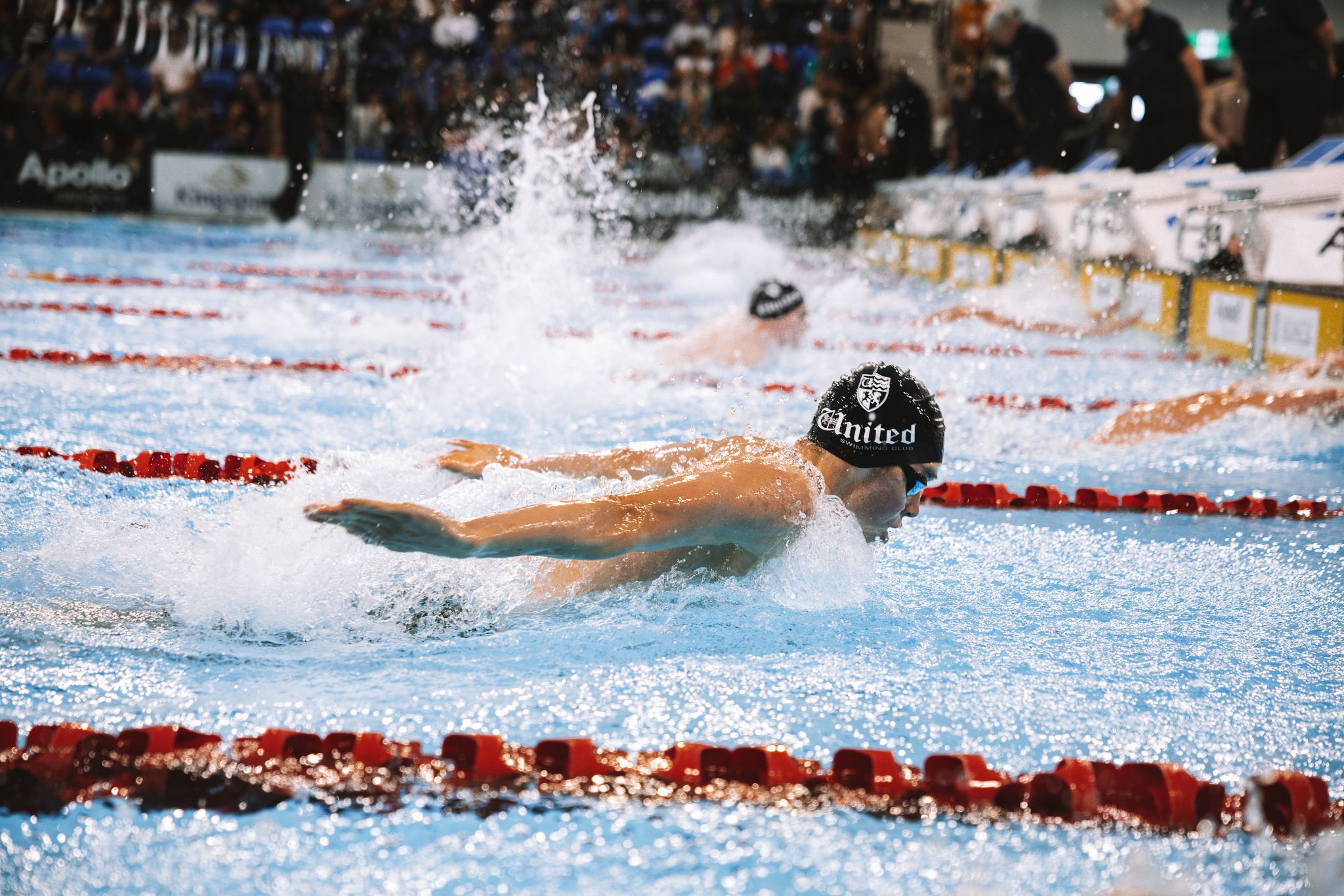 Swimming Auckland - Welcome