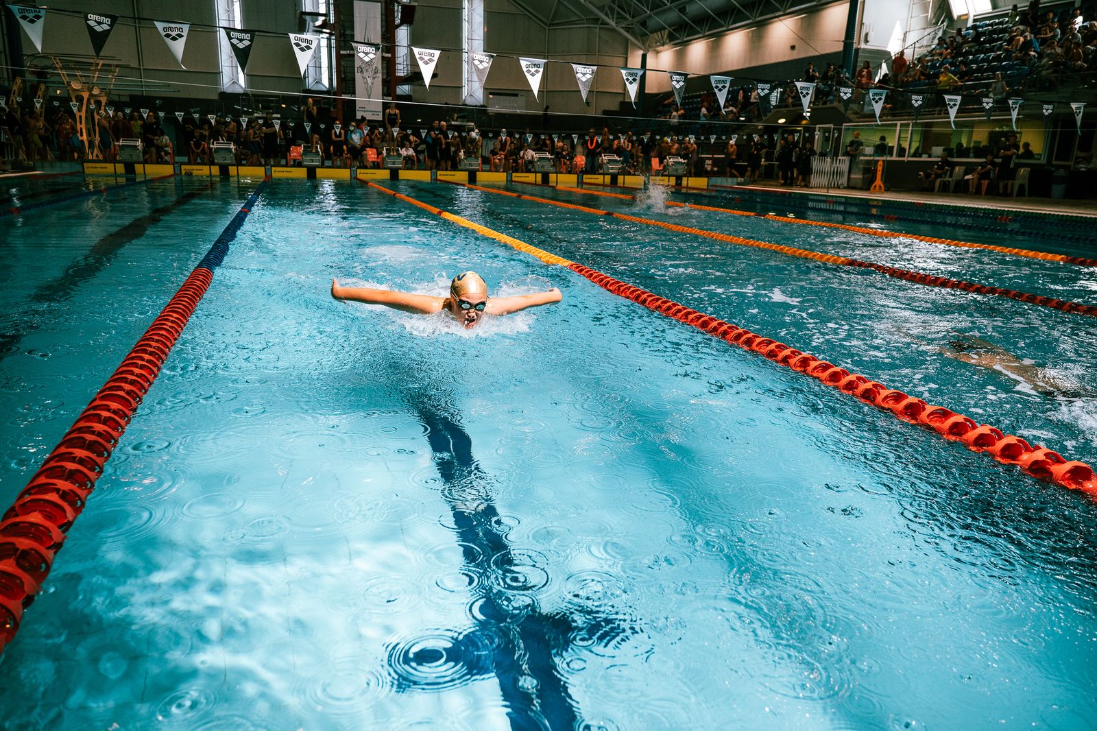 Swimming Auckland - Welcome