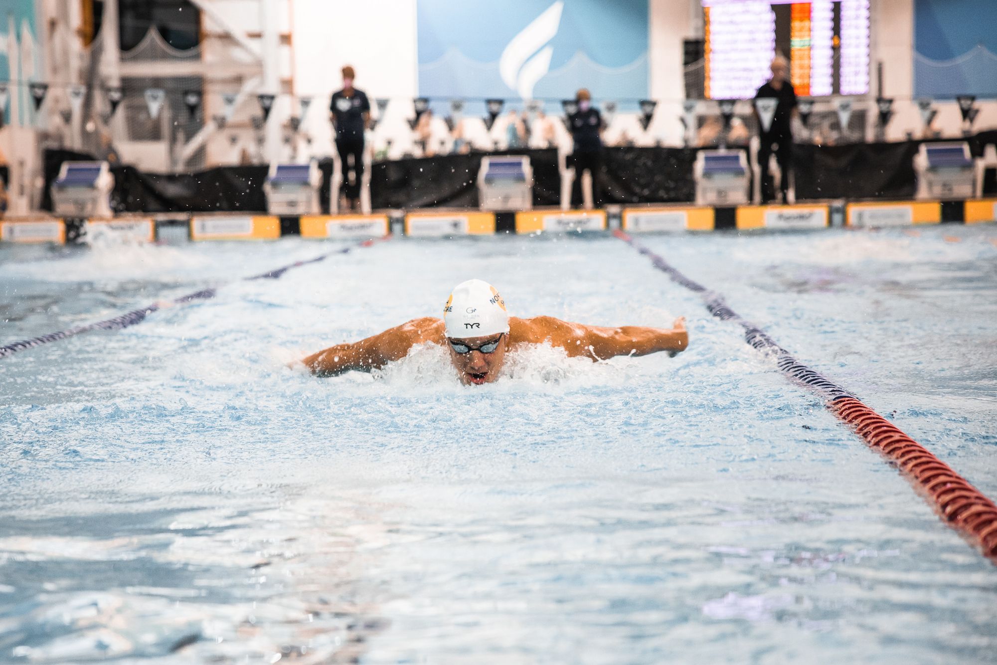 Swimming Auckland - Welcome