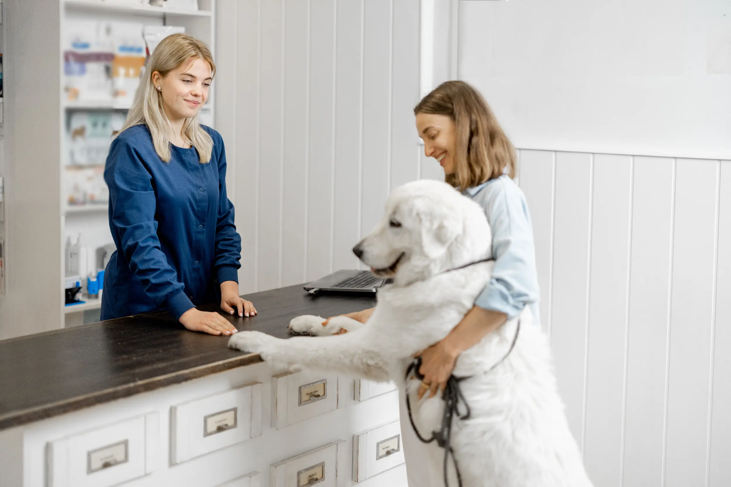 How to Reduce The Front Desk Workload in Veterinary Clinic