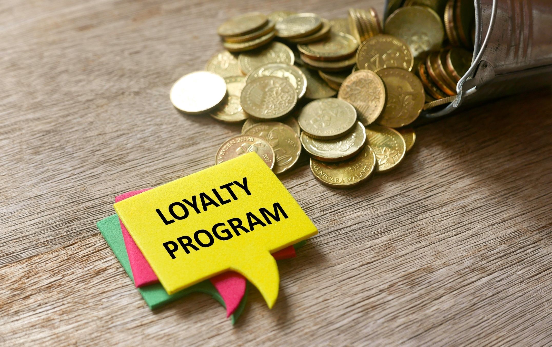 Bluebiz program on Fairjungle