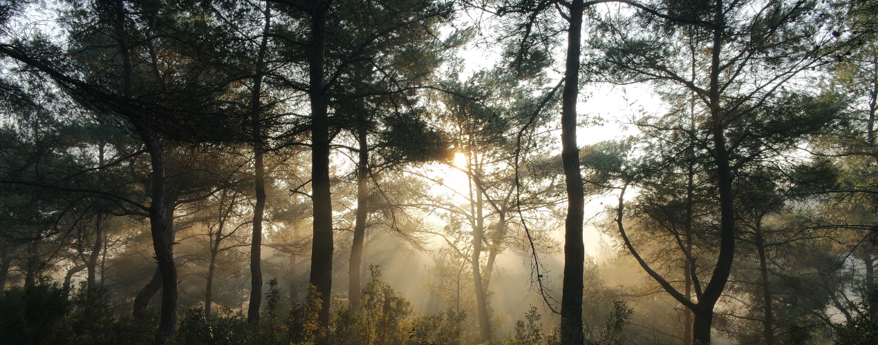 Understand and conduct your company's GHG assessment