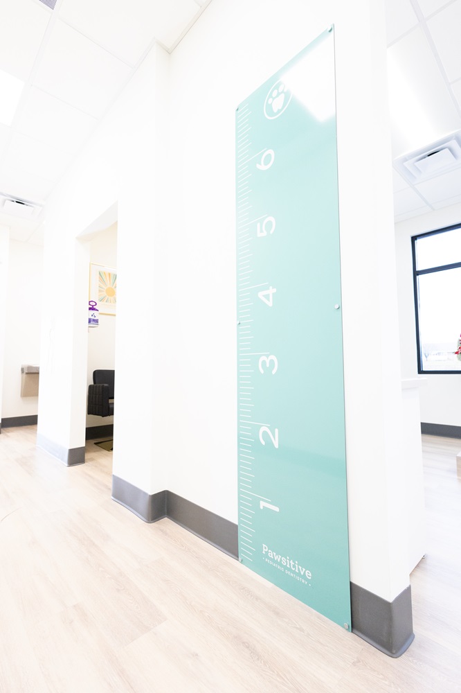 About Us | Pawsitive Pediatric Dentistry